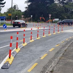 Flexible Traffic Separator - Vanguard Group